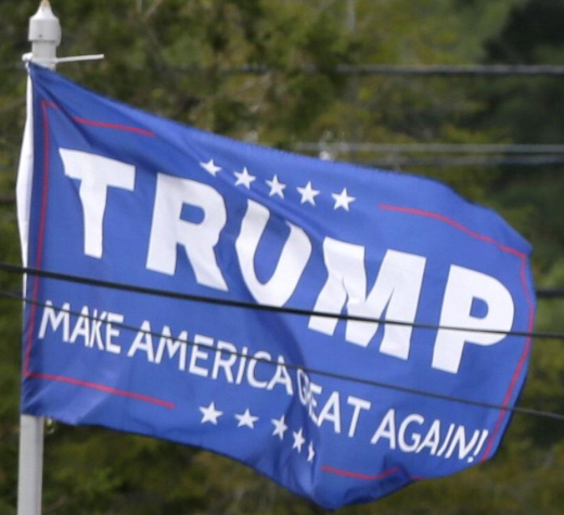 Mr. Slicker and the Egg Robbers | Views from the Edge