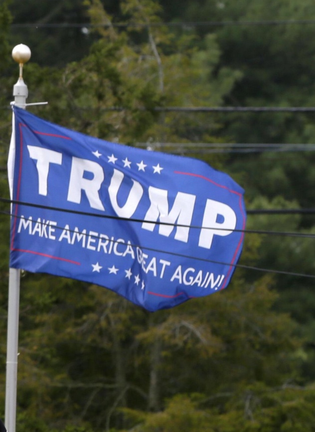 Mr. Slicker and the Egg Robbers | Views from the Edge